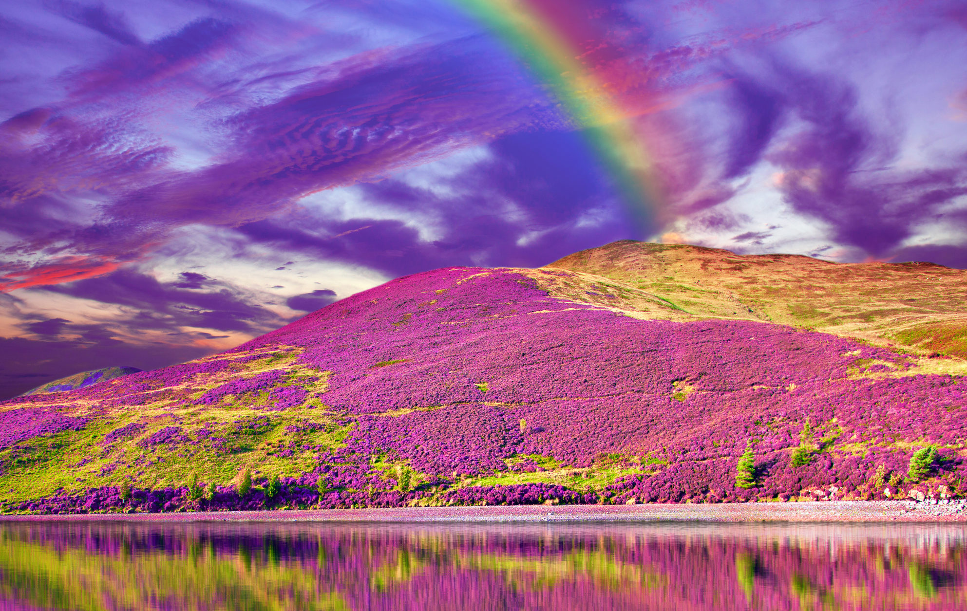 Colorful landscape scenery of rainbow over hill slope covered by ...
